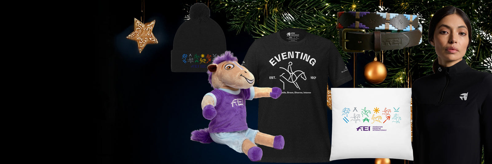 FEI Official Store